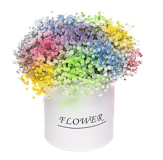 rainbow box | סידורי פרחים | פרחים | The Garden